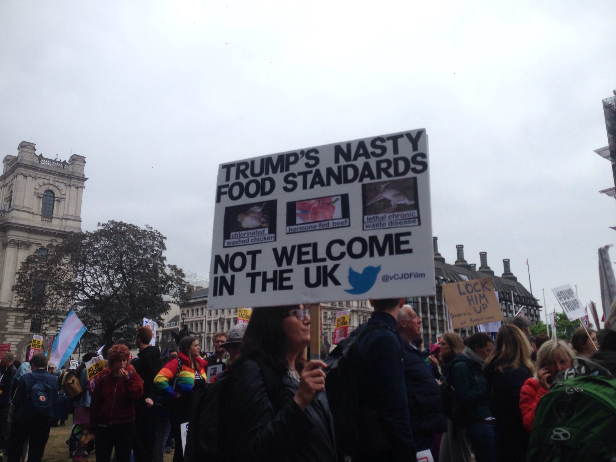 London's Trump Protest: A Photographic Journey - Liberty Nation News