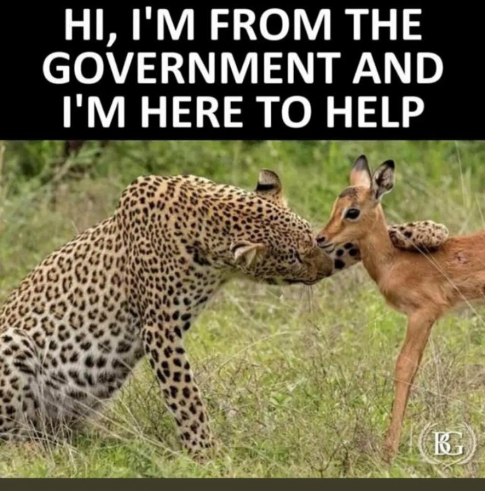 Daily Political Memes - Liberty Nation News