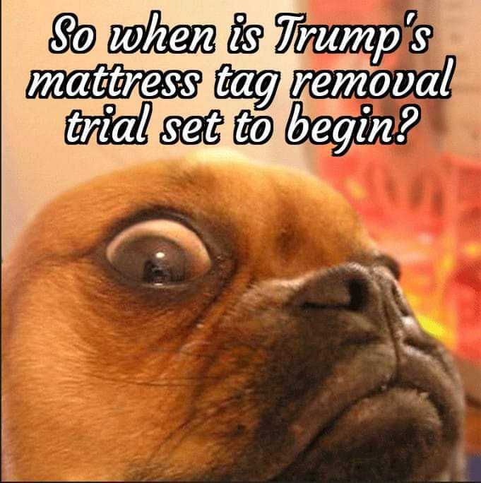 Daily Political Memes - Liberty Nation News