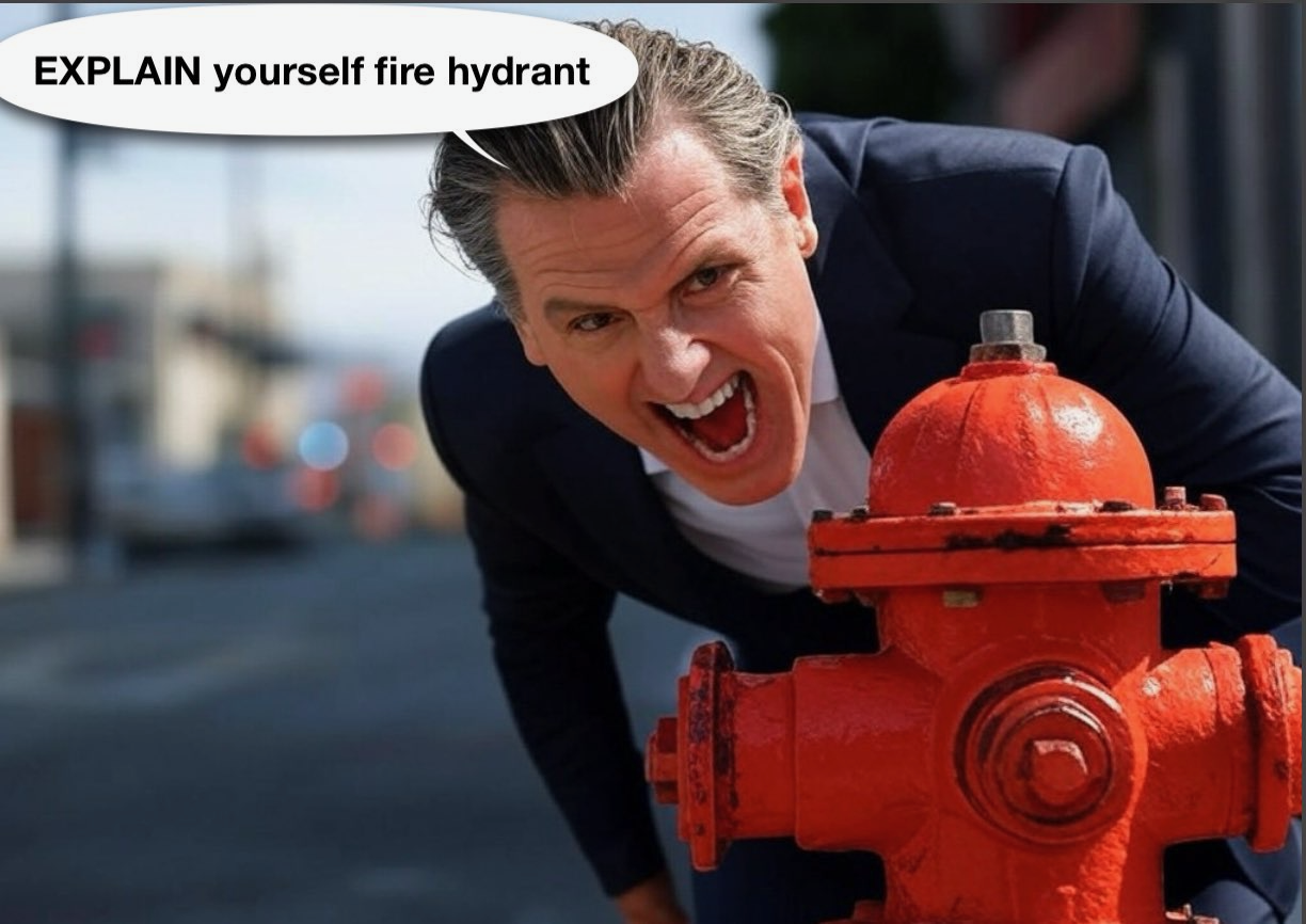 Daily Political Memes - Liberty Nation News